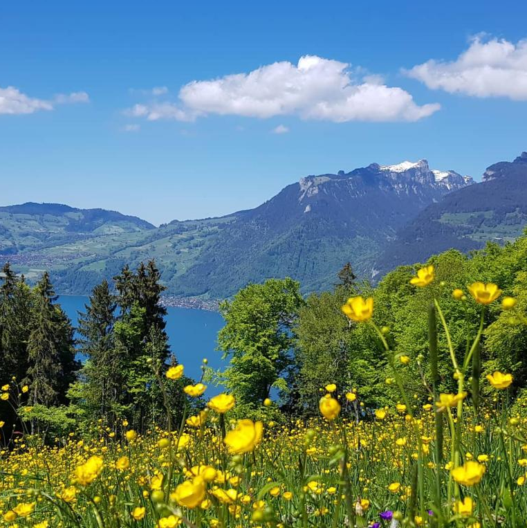 Gemeinde Sumiswald - Öffnungszeiten über die Auffahrt 2023