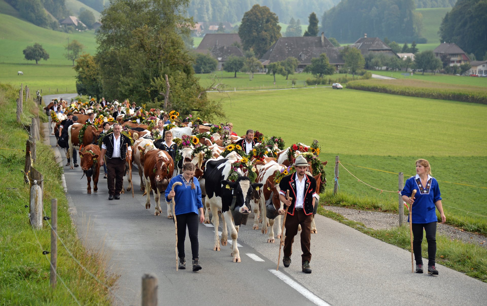 Gemeinde Sumiswald - Verkehrserschwerung Alpabfahrt